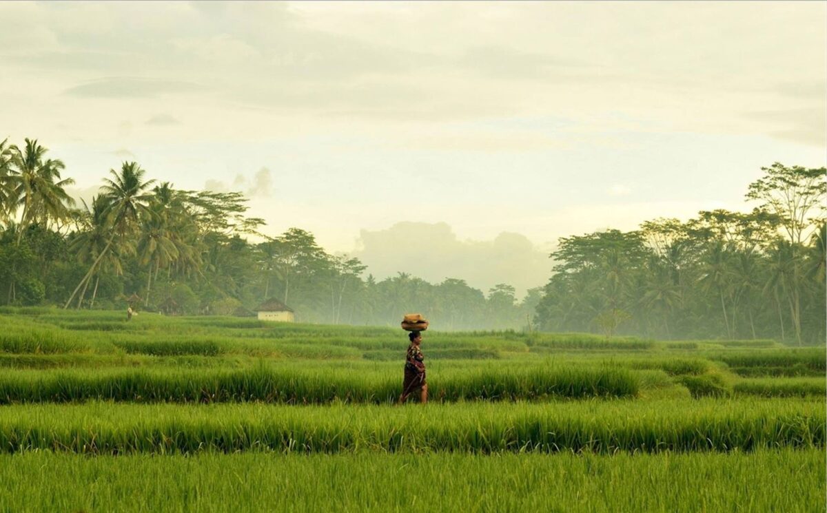 Viaje en grupo a Bali - Viajes a Bali | Autentico Bali